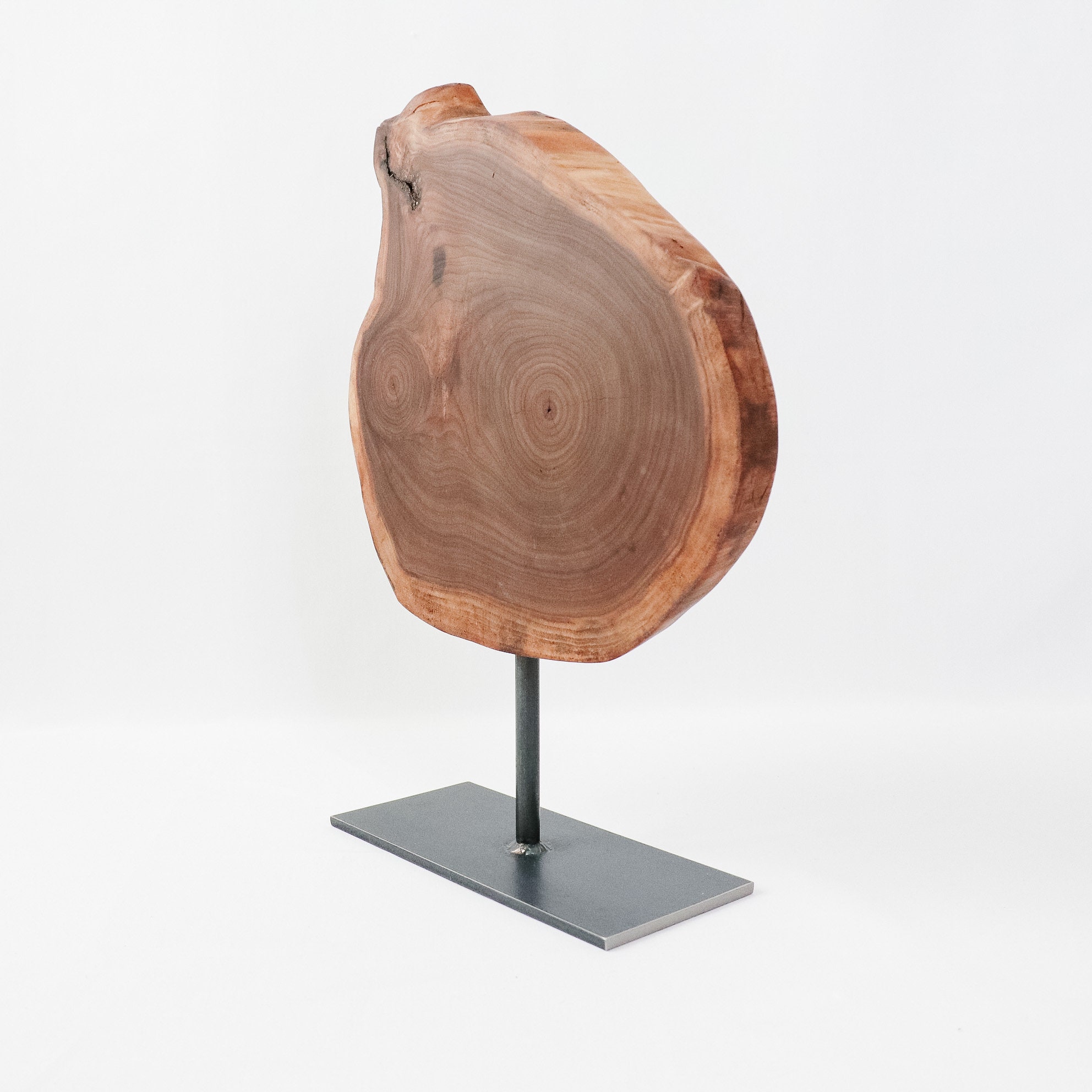 Walnut Wood Slice on Stand Home Decor Art Piece - Etsy