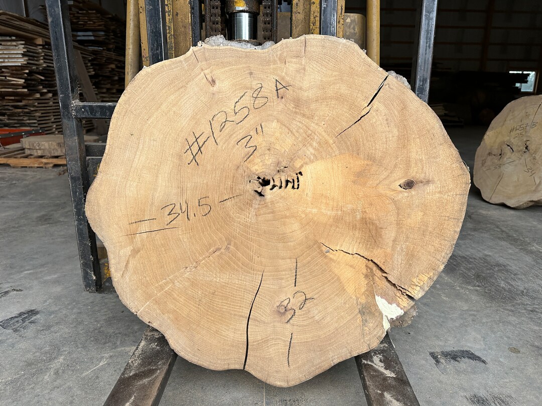 Elm Cookie Slab 1258, Live-edge Slab - Etsy