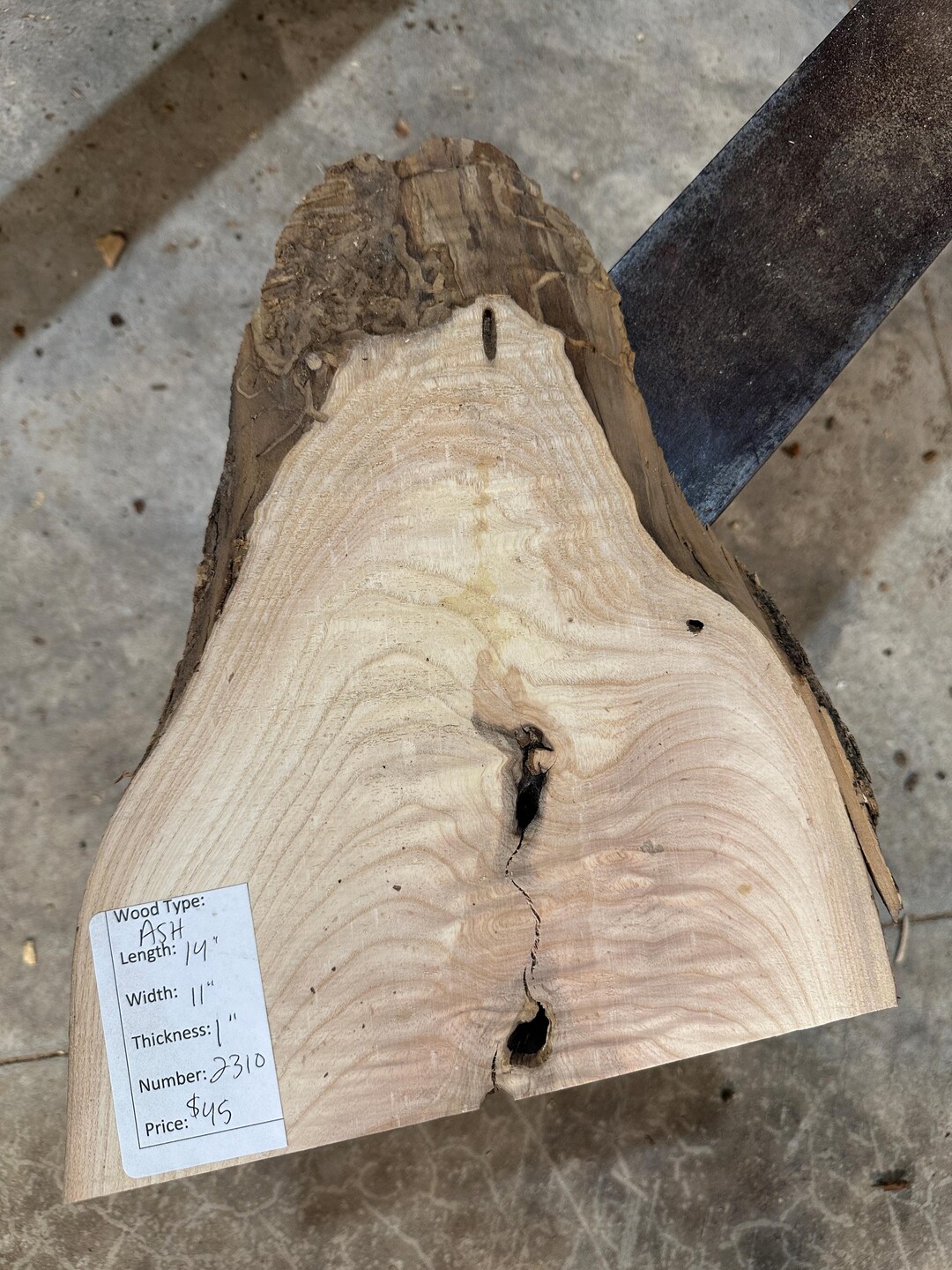 White Ash Slab #2310, Live Edge Slab, Unfinished, Free Shipping - Etsy