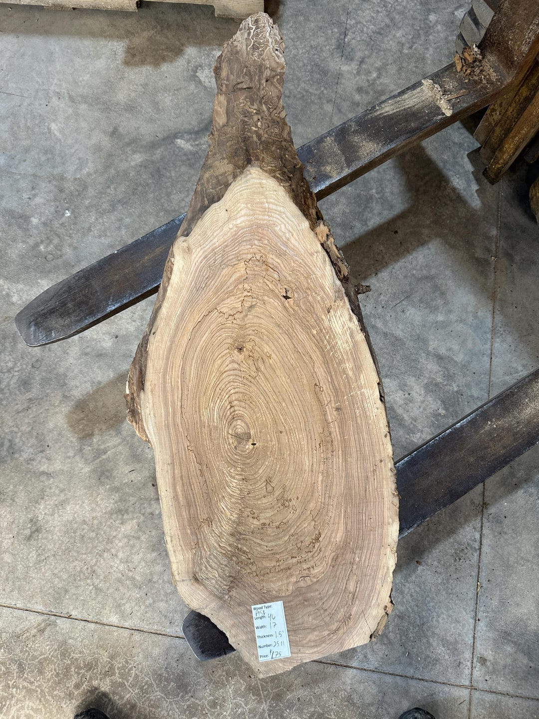 White Ash Slab #2511, Live Edge Slab, Unfinished - Etsy