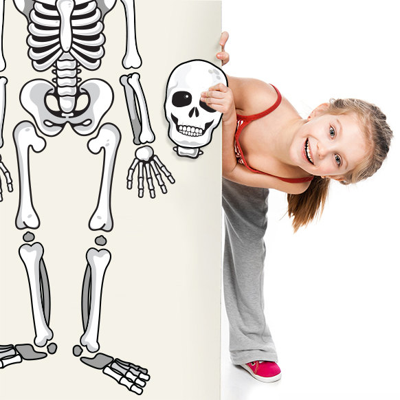 Construir un esqueleto Halloween pared calcomanías cáscara y | Etsy