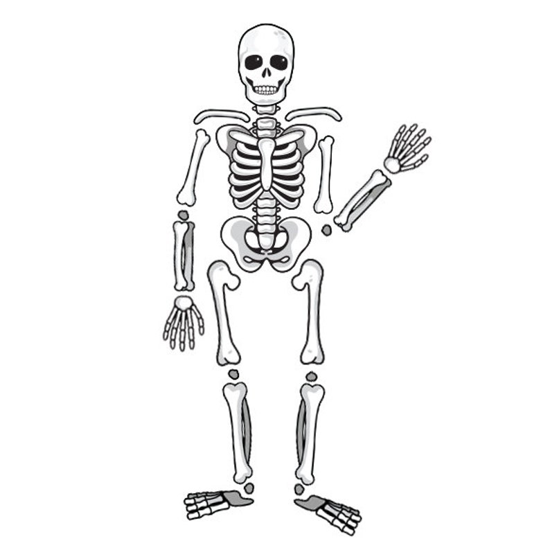 Build-a-skeleton Halloween Wall Decals Peel and Stick Removable ...
