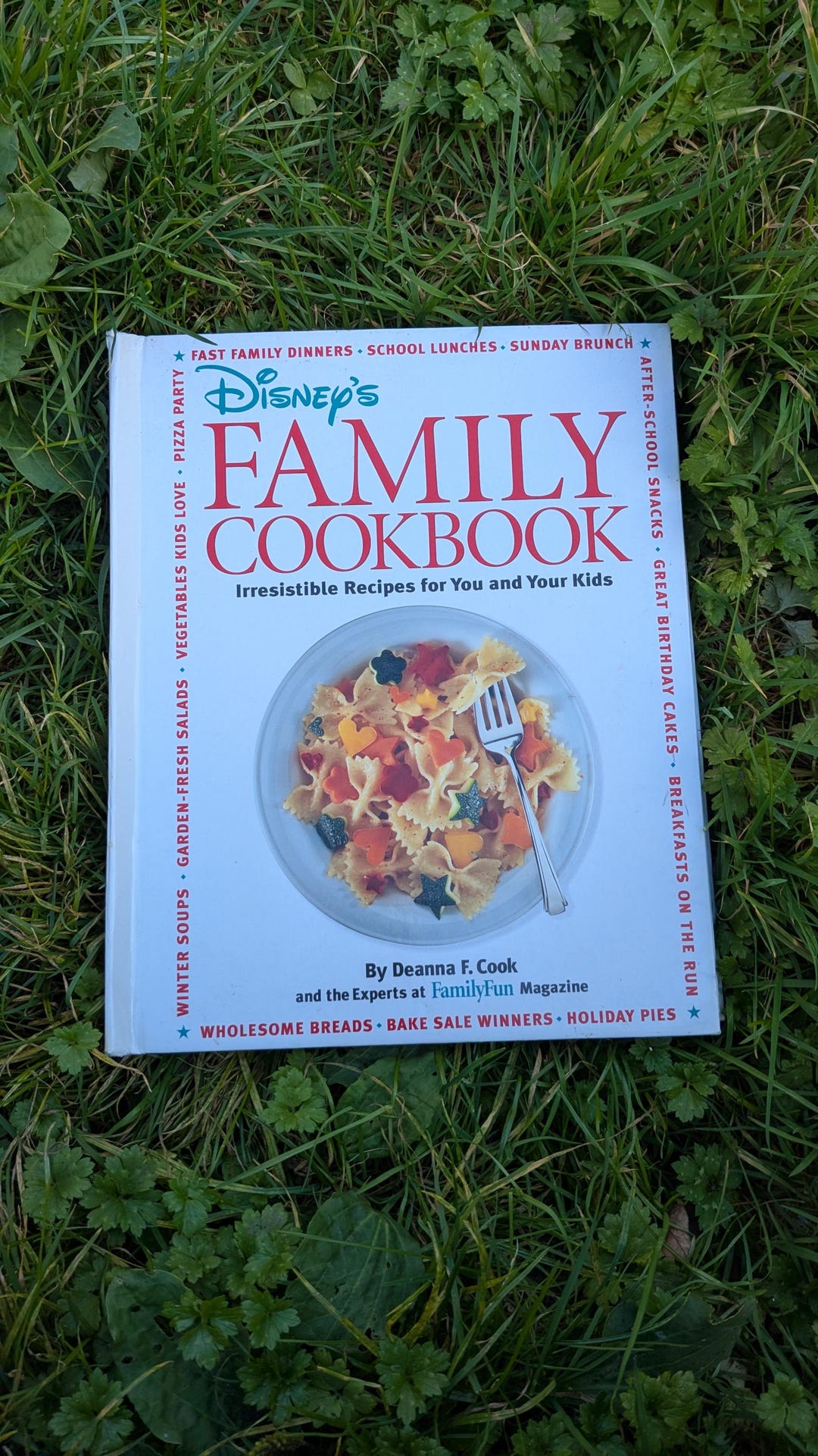 Vintage Disney's Family Cookbook by Deanna F. Cook Hardcover Spiral ...