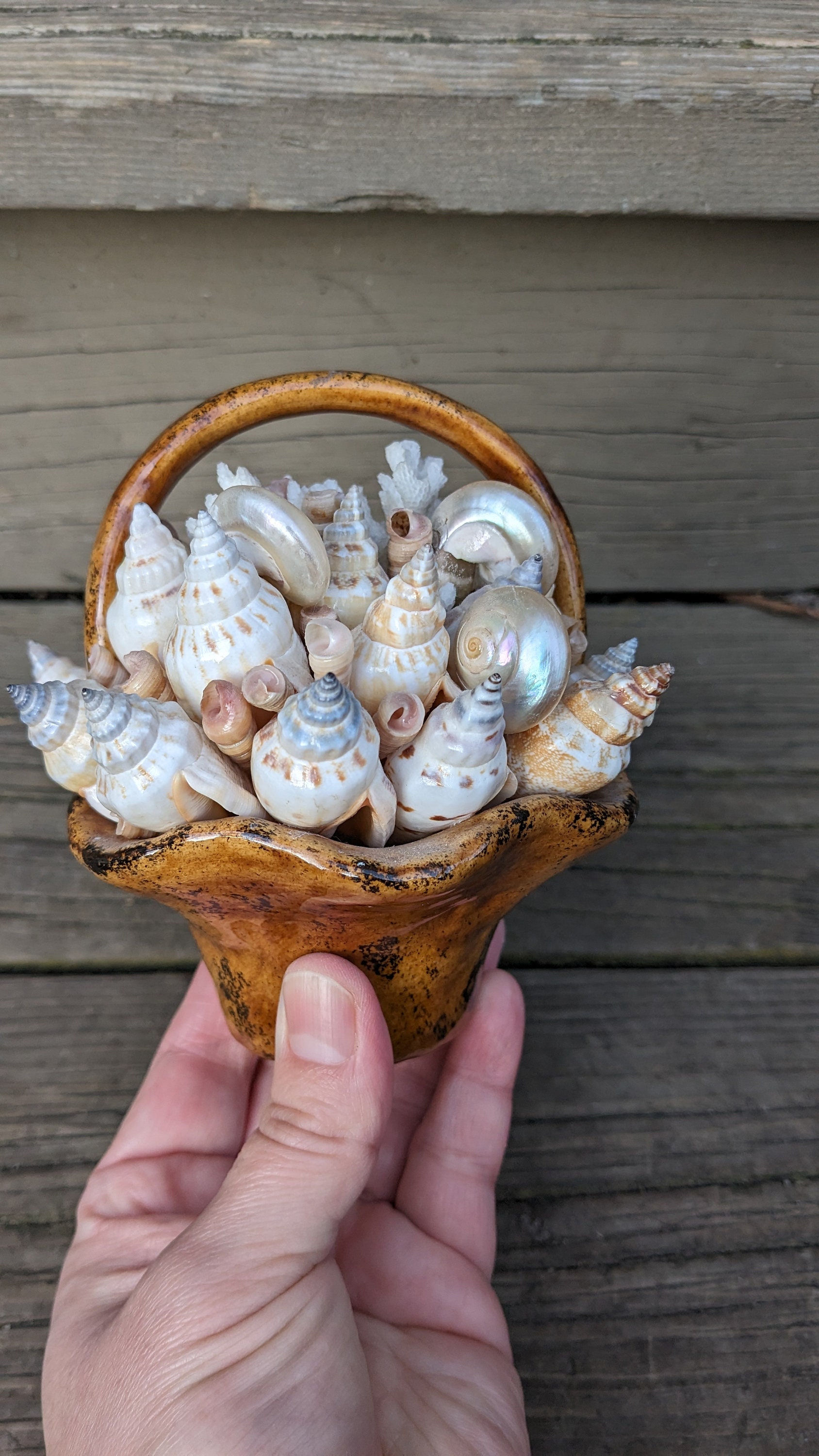 Vintage Ceramic Basket With Shells and Coral, Vintage Handmade, Ocean ...