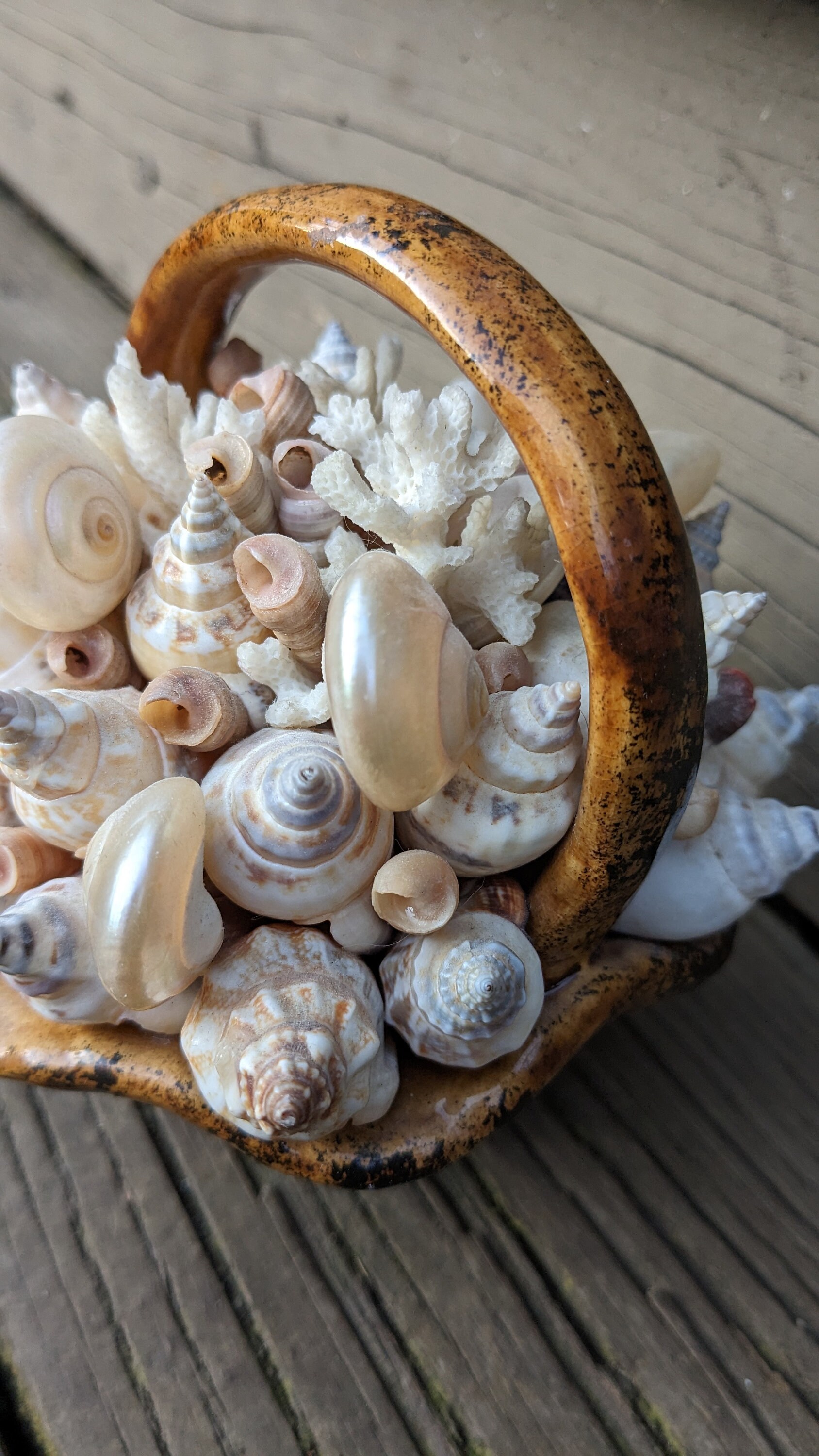 Vintage Ceramic Basket With Shells and Coral, Vintage Handmade, Ocean ...