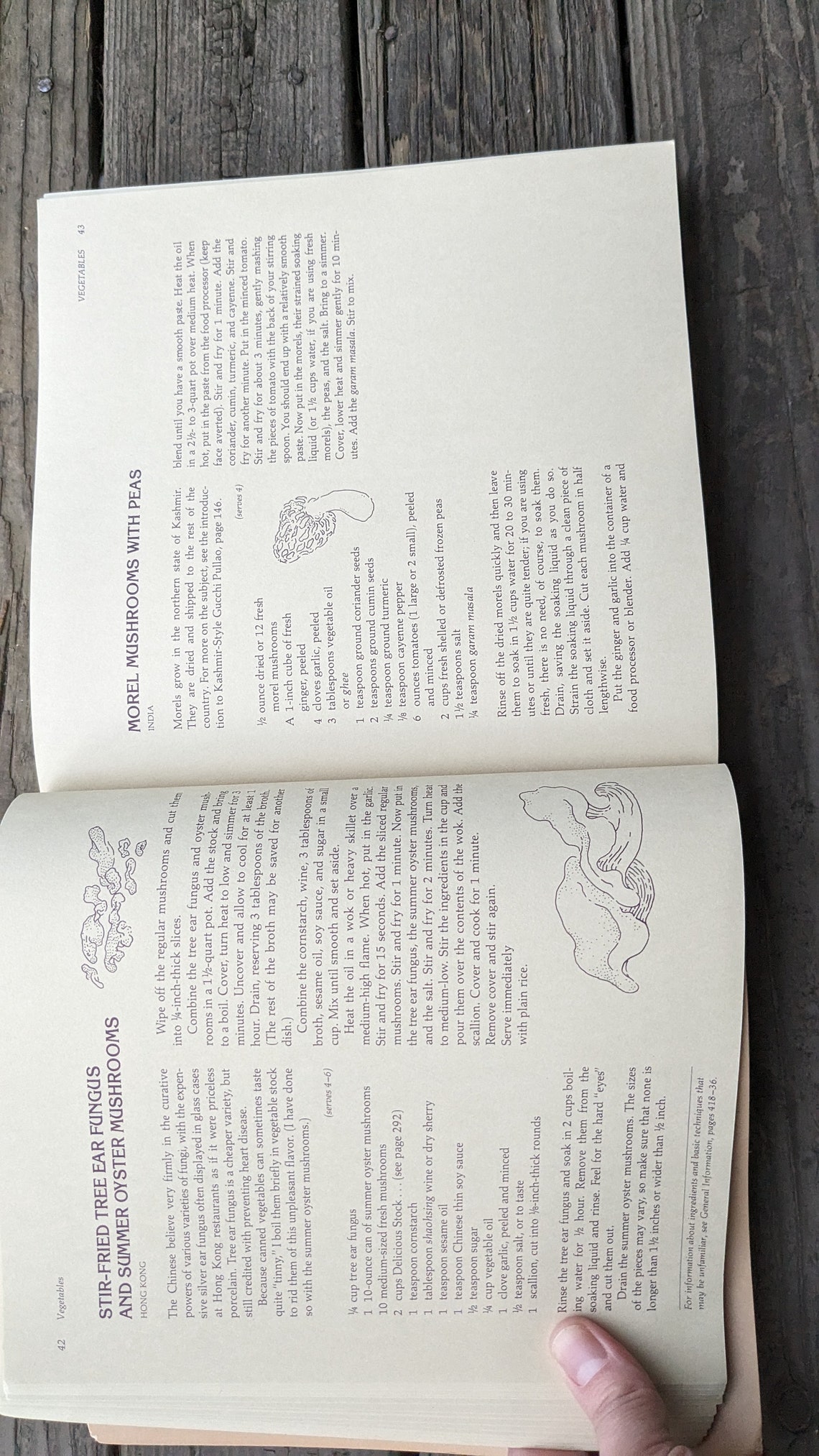 Vintage Vegetarian Cookbook, World of the East Vegetarian Cooking by ...