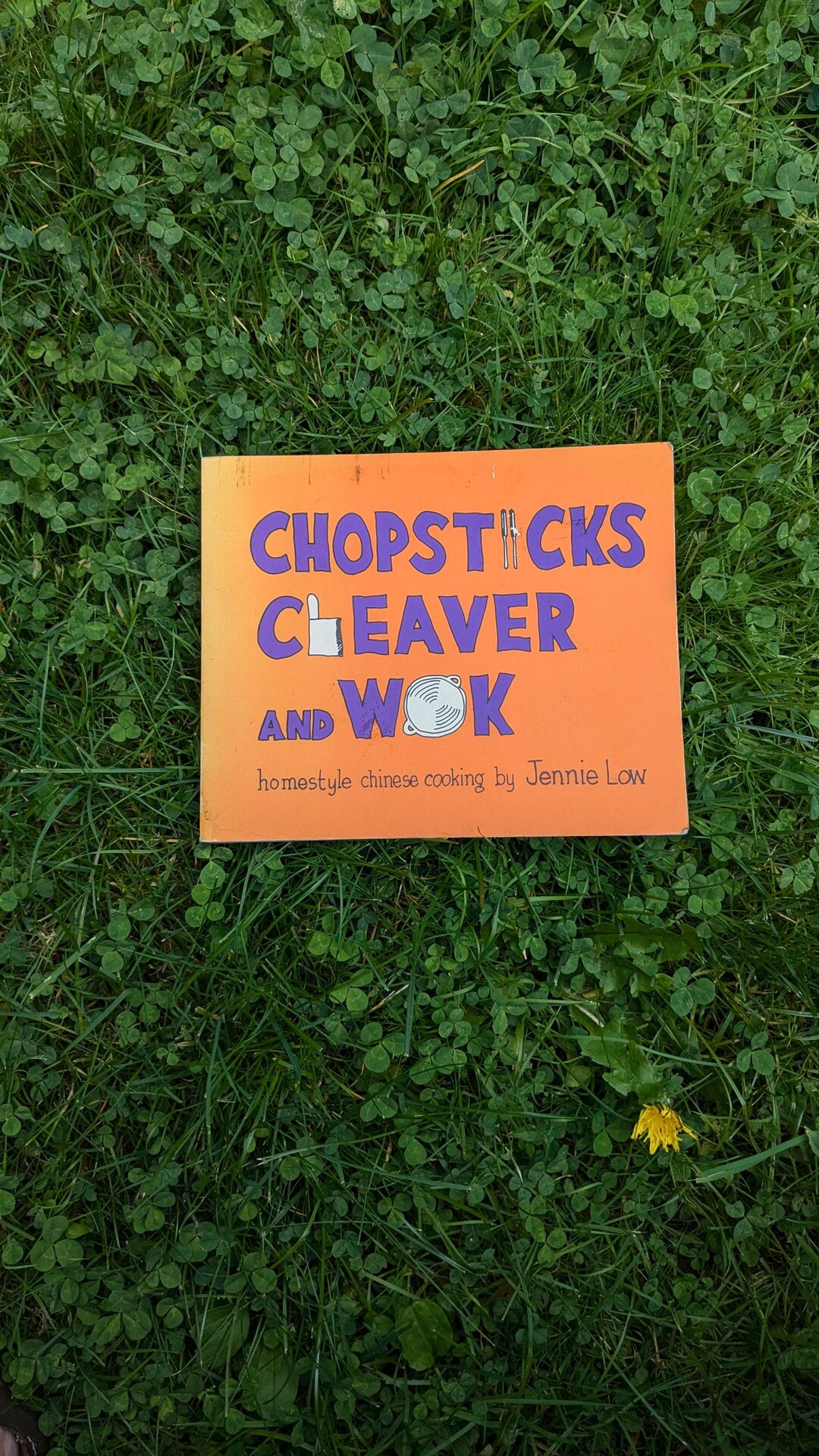 Vintage 1975 Chinese Cookbook, Chopsticks, Cleaver and Wok Homestyle ...