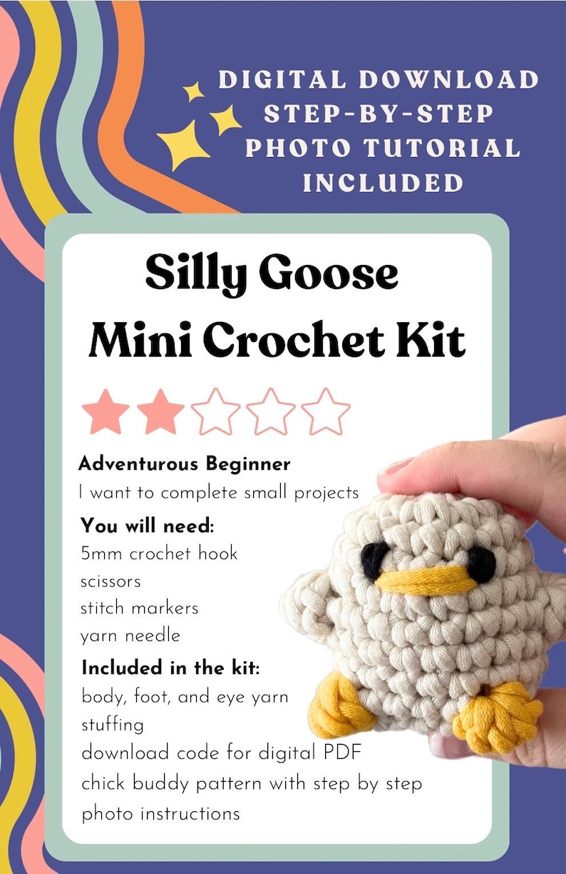 Silly Goose Beginner Mini Crochet Kit - Etsy