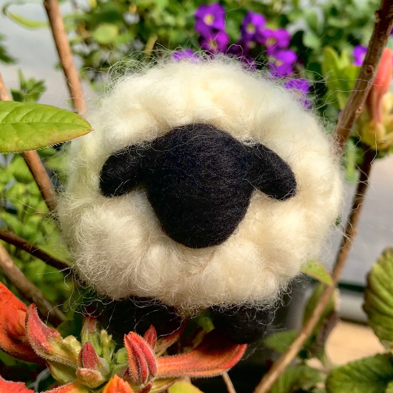 Beginner Felting Kit - Etsy