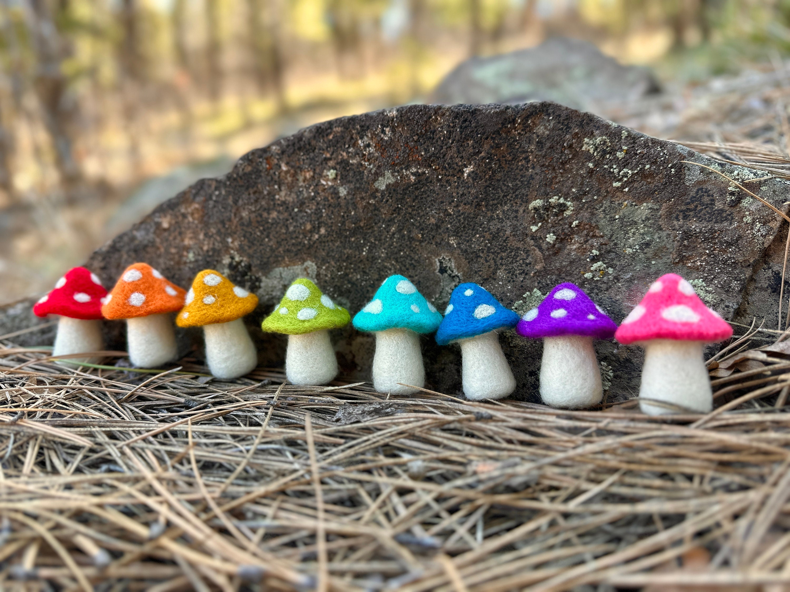 Needle Felting Toadstool Kit: Beginner Mushroom Art, Makes 2-8 ...