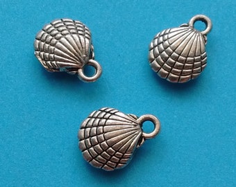 Seashell Charms | Etsy