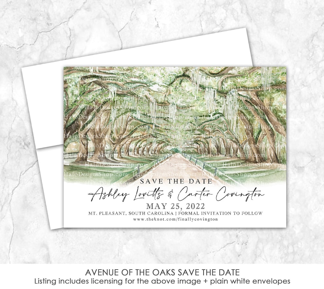 Avenue of the Oaks Watercolor Save the Date | Spanish Moss | Southern ...