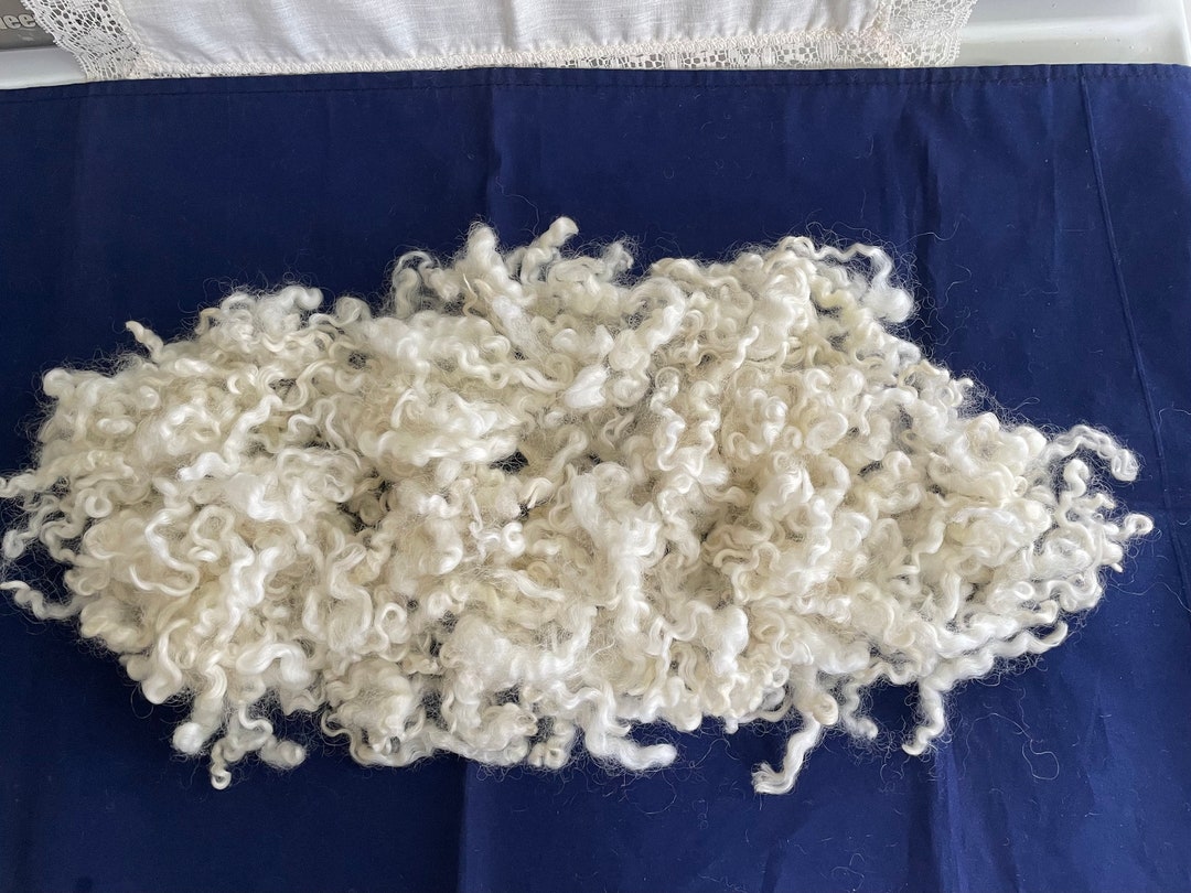 Sweet Curly White Wool Lamb Locks for Spinning Santa Beards - Etsy