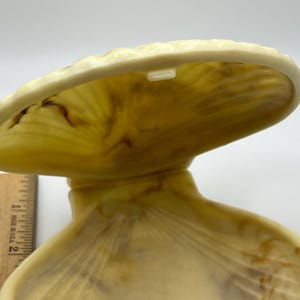 Vintage Box Hinged Snap Closed Gift Swirled Plastic Clam Shell Seashell ...