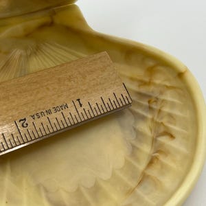 Vintage Box Hinged Snap Closed Gift Swirled Plastic Clam Shell Seashell ...