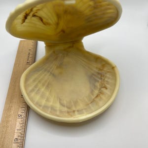 Vintage Box Hinged Snap Closed Gift Swirled Plastic Clam Shell Seashell ...
