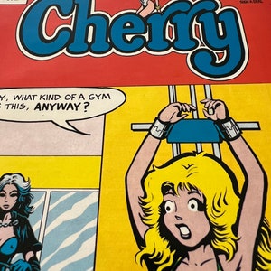 Cherry Comics #2, 1998: Poptart Banana Land Adult Comic Book - Etsy 日本