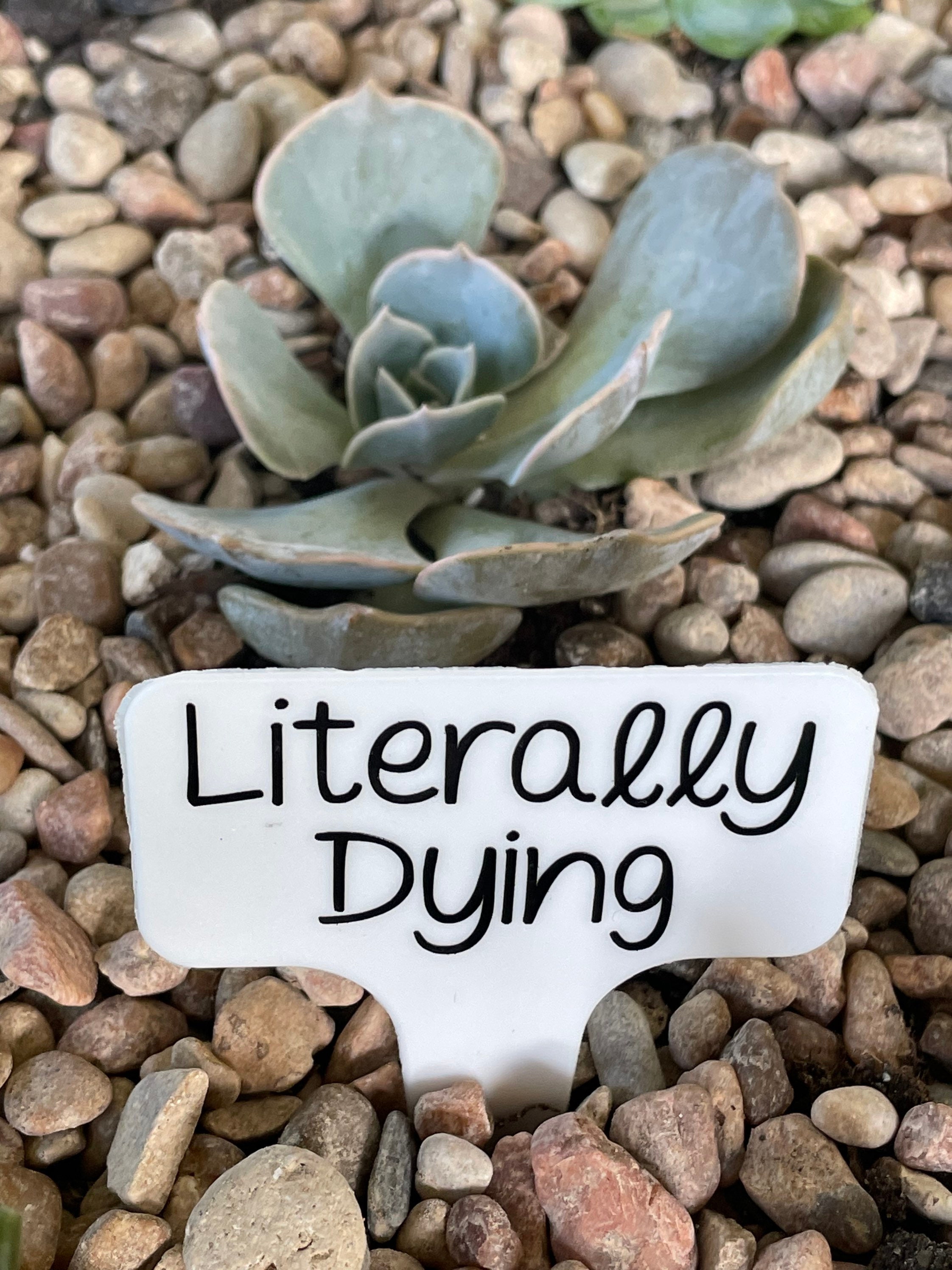 Funny Plant Sign Plant Markers Garden Markers Garden Stake | Etsy