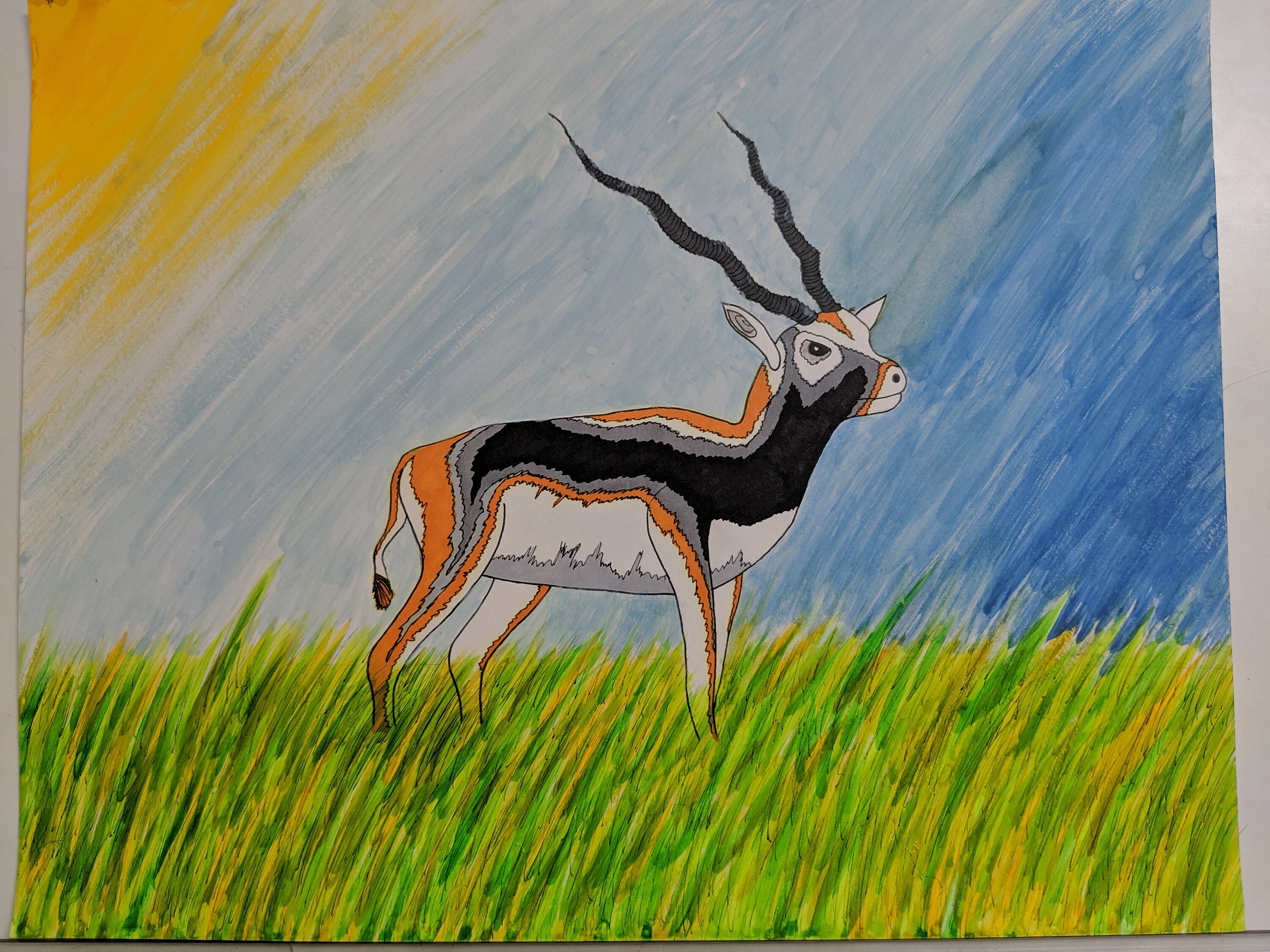 Blackbuck Antelope - Etsy