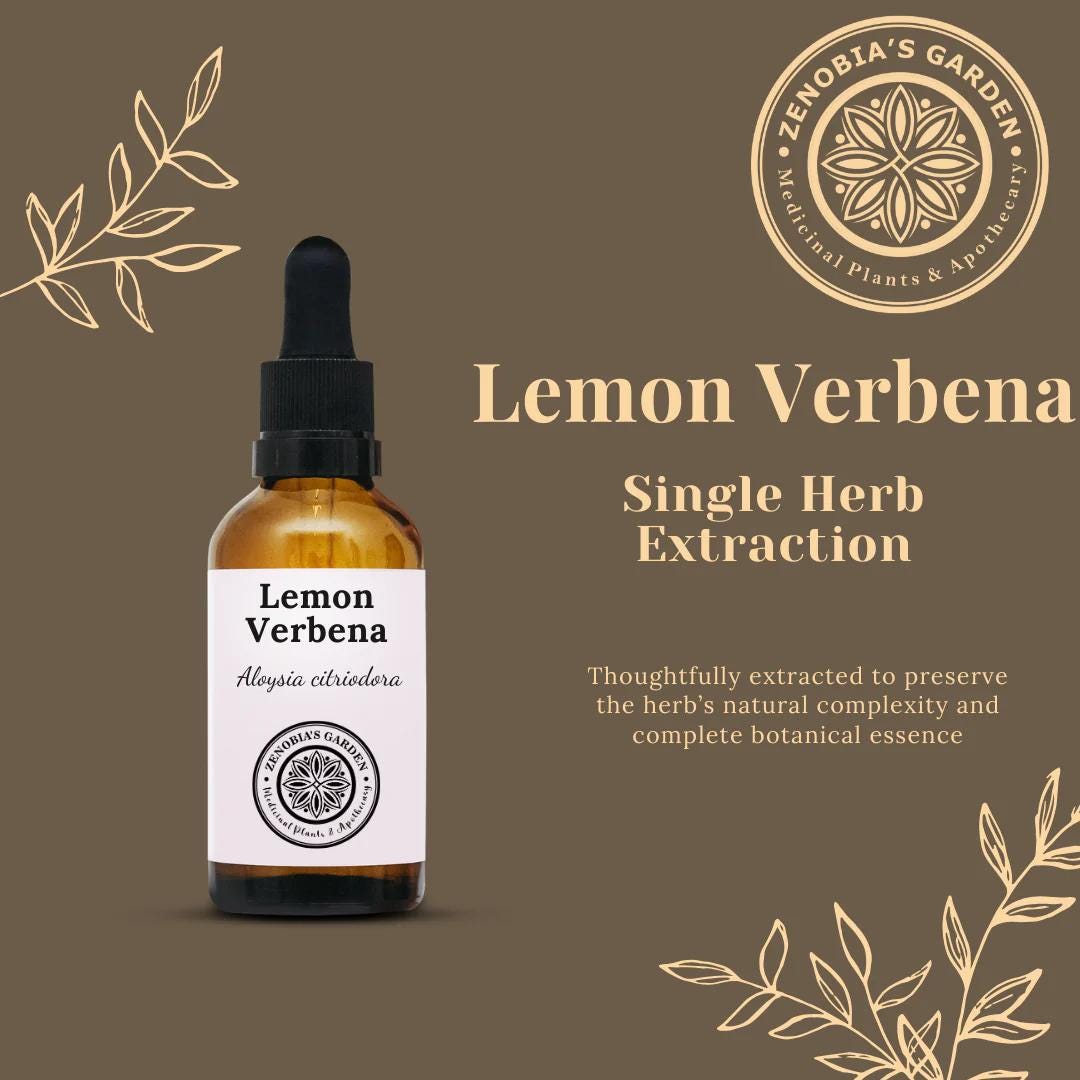 Tincture, Lemon Verbena 1 Oz Glass Bottle Handcrafted Small Batches ...