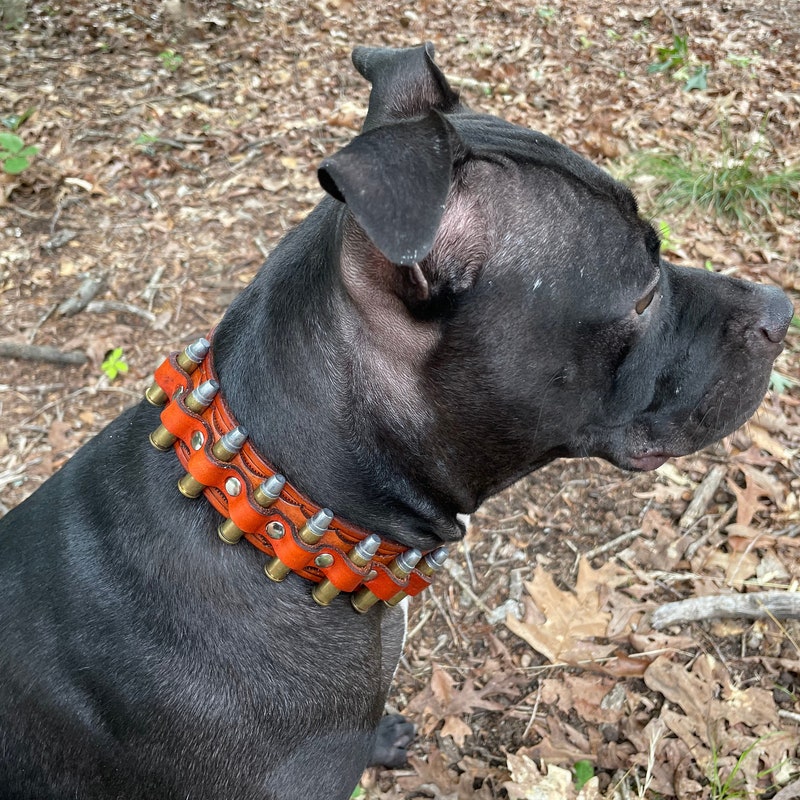 Bullet Dog Collar - Etsy