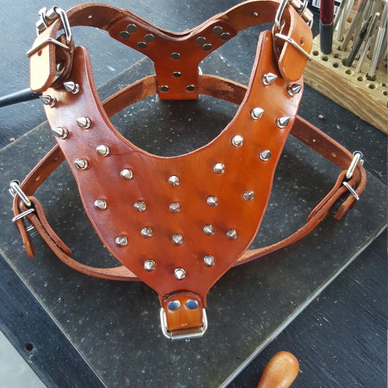 Leather Dog Harness - Etsy