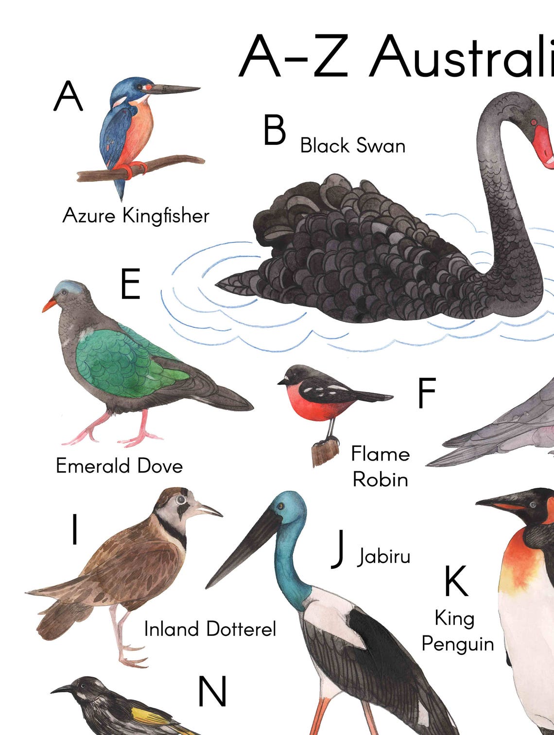 Australian Birds A-Z Art Print Giclee Print - Etsy
