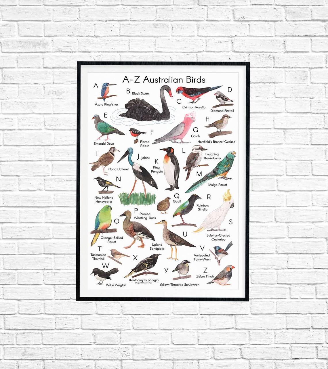 Australian Birds A-Z Art Print Giclee Print - Etsy Australia