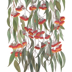 Billy Buttons Premium Cotton Linen Tea Towel - Etsy