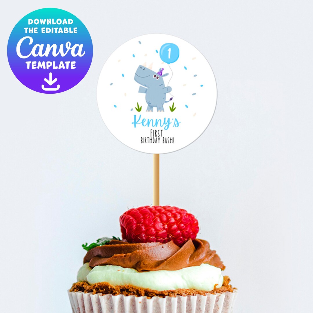 Rhino 1st Bday Cupcake Toppers Whimsical Blue Balloon Decor Perfect for ...