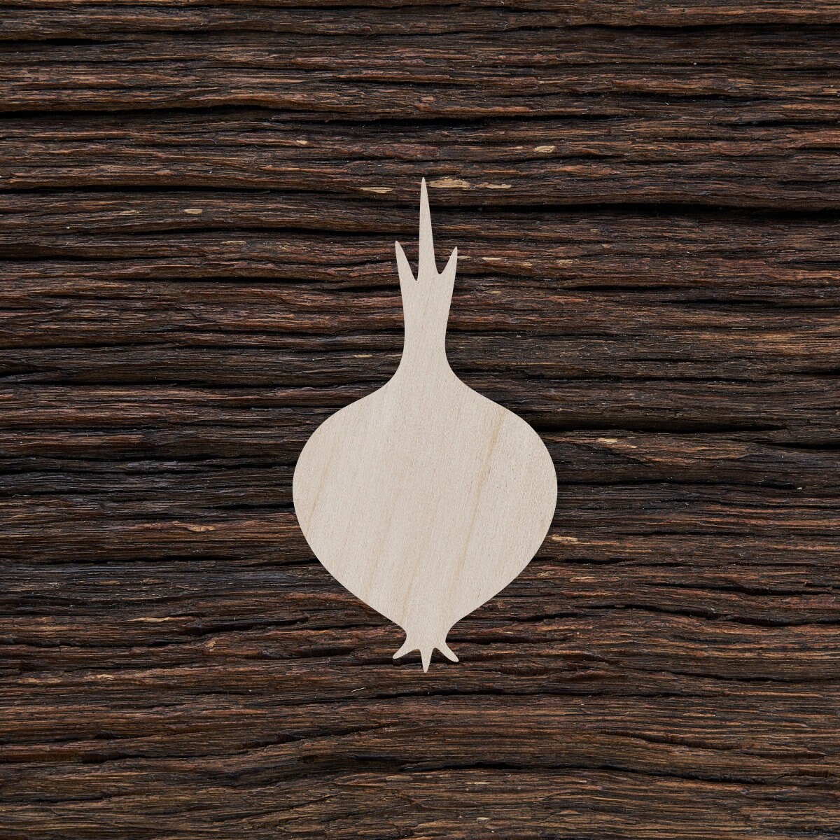 Wooden Onion for Crafts and Decorations - Onion Shape - Onion Magnet ...