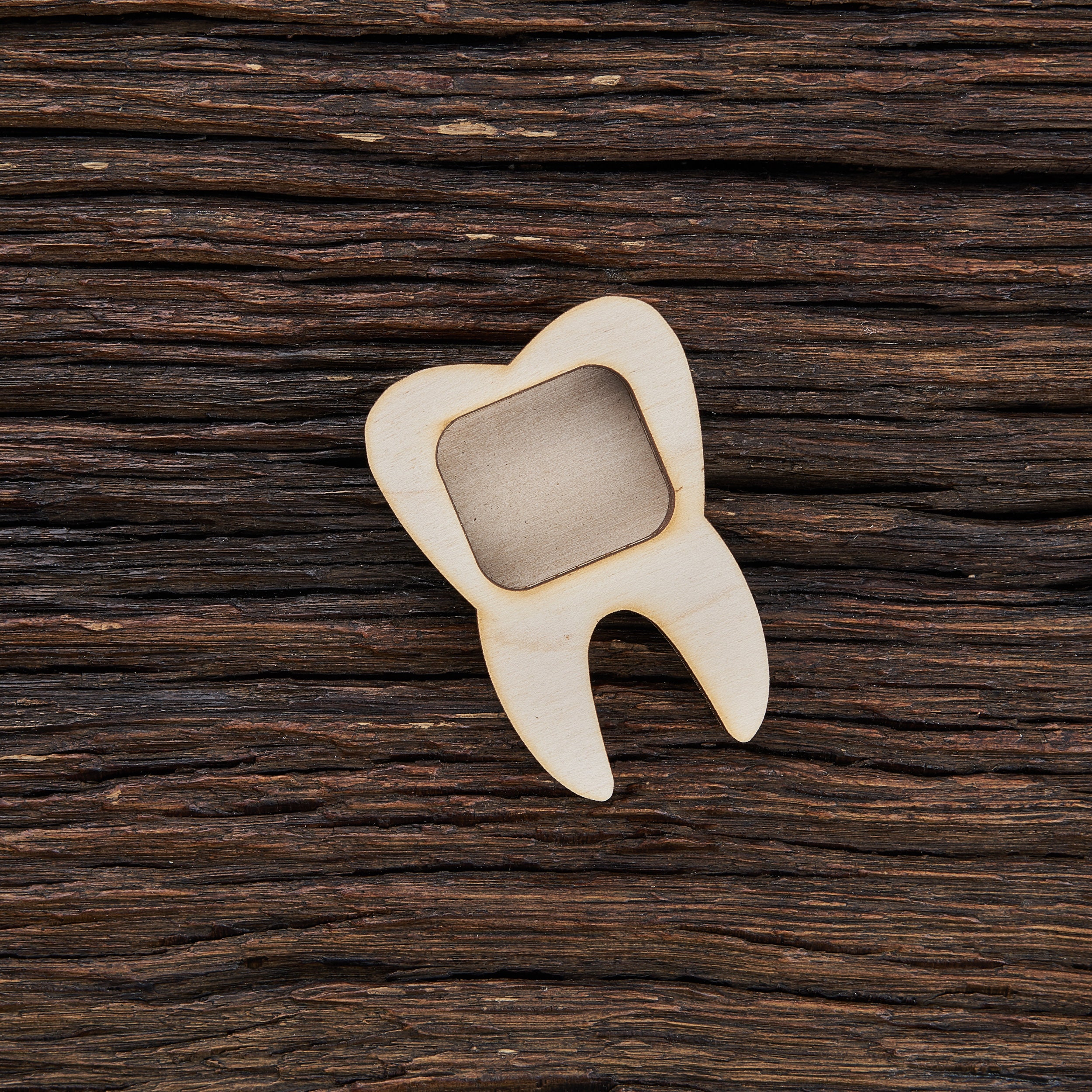 Wooden Tooth Box for Crafts UNGLUED Laser Cut Tooth - Etsy UK