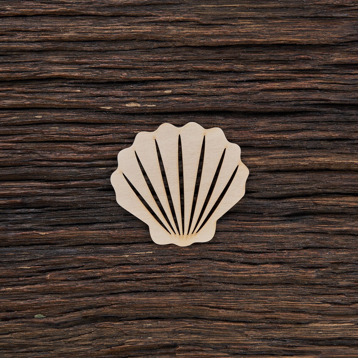 Wooden Shell Shape for Crafts and Decoration Laser Cut - Etsy