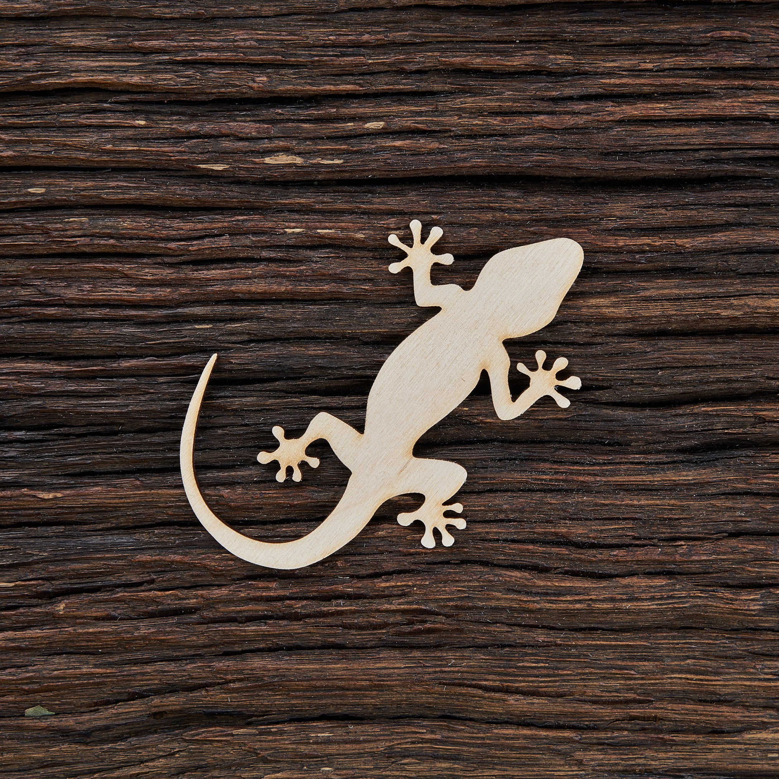 Wooden Gecko Shape for Crafts and Decoration Laser Cut - Etsy