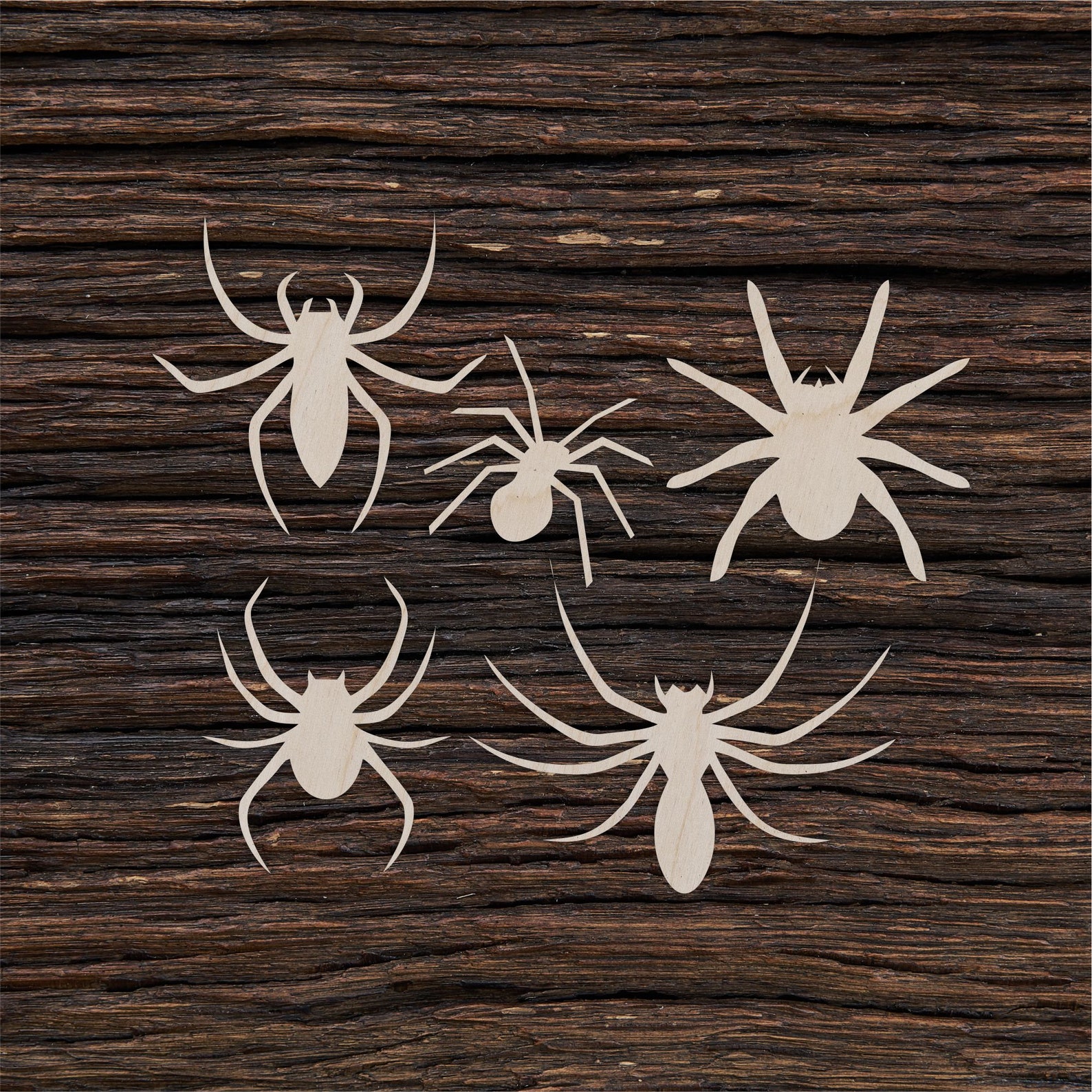 Wooden Spider for Crafts and Decoration Laser Cut Spider - Etsy