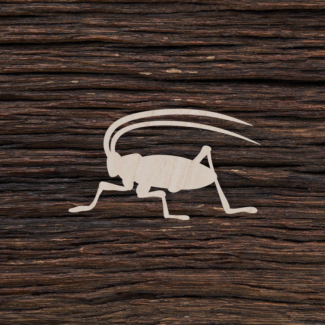 Wooden Cricket for Crafts and Decorations - Cricket Magnet - Cricket ...