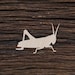 Wooden Grasshopper for Crafts and Decorations Grasshopper Shape ...