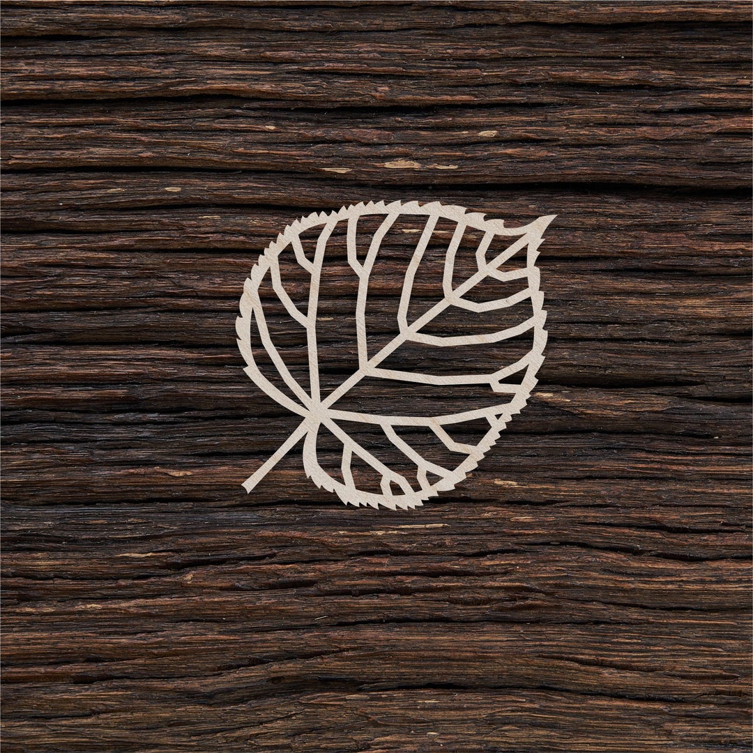 Wooden Small-leaved Linden, Tilia Cordata, Lime Tree Skeleton Leaf ...