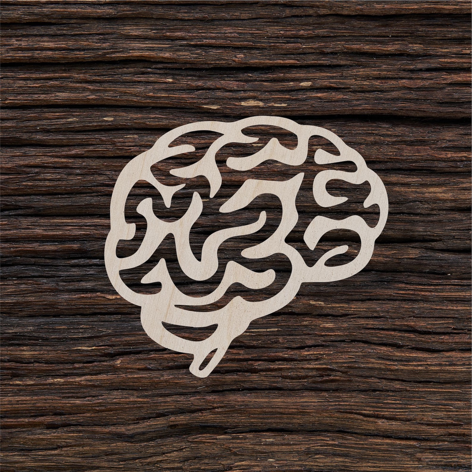 Wooden Brain for Crafts and Decorations Brain Brooch Brain - Etsy