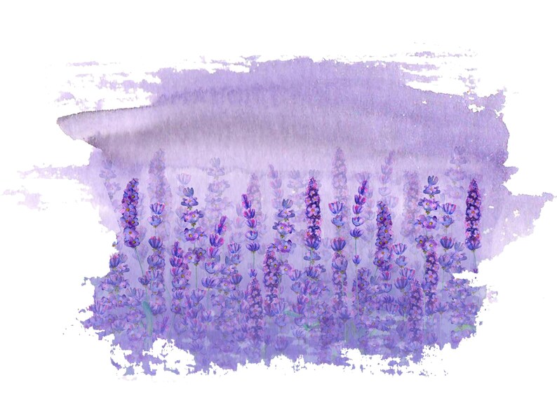 Lavender/ Procreate Palette / Procreate Color Palette / Procreate ...