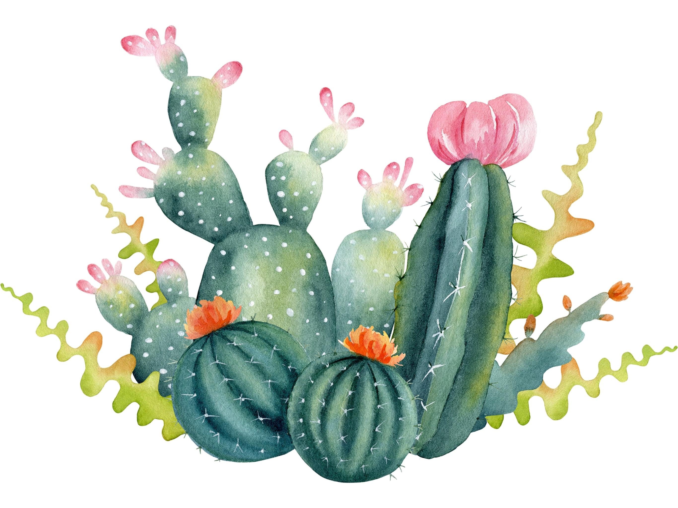Cactus Procreate Palette Procreate Color Palette Procreate Palette