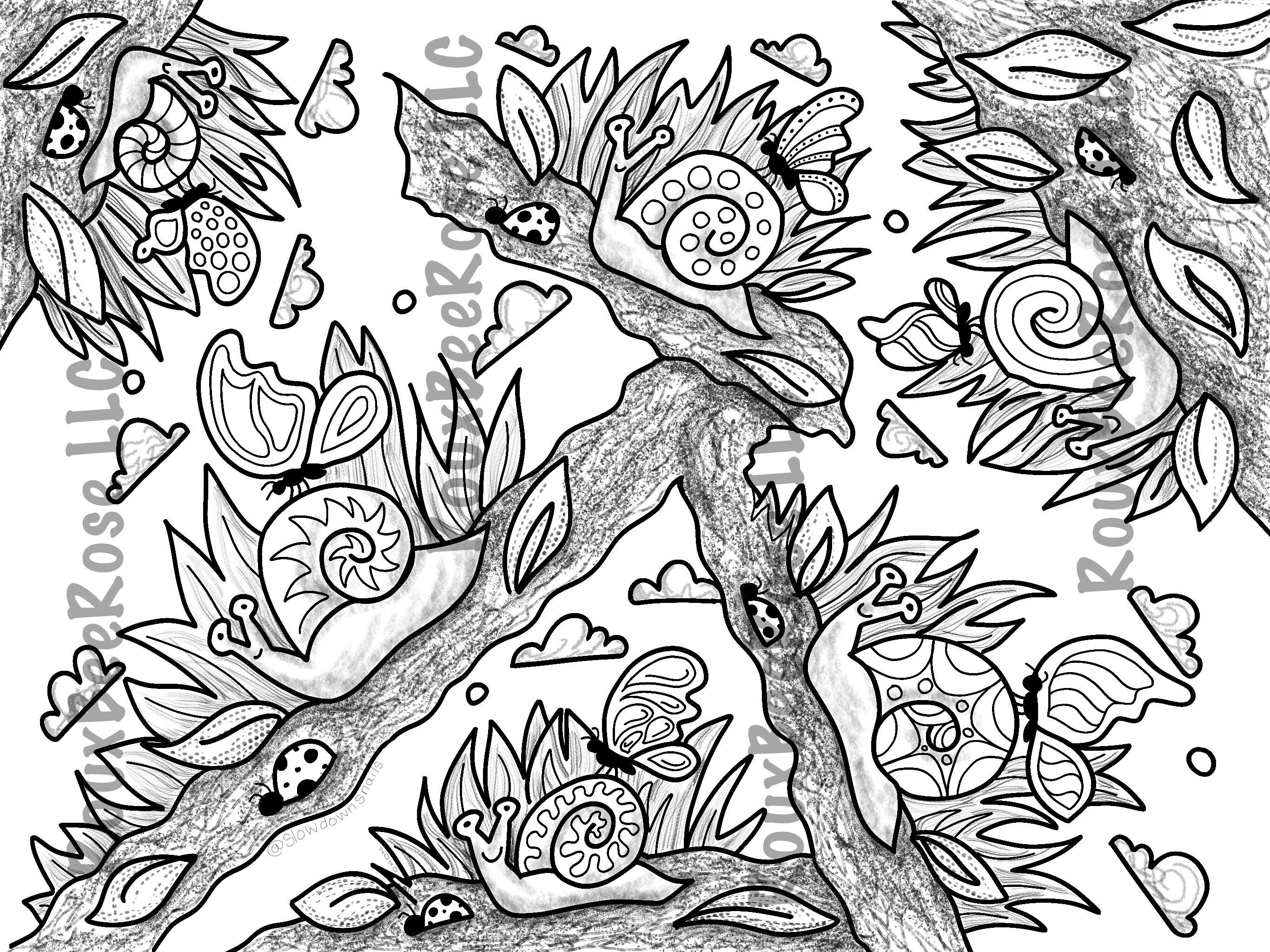 Slow Snail Coloring Page