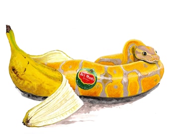 Boba Ball Python Snake Sticker - Etsy