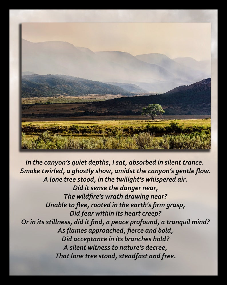 Digital Download Photo | "lone Tree" Pine Gulch Wildfire in Western ...