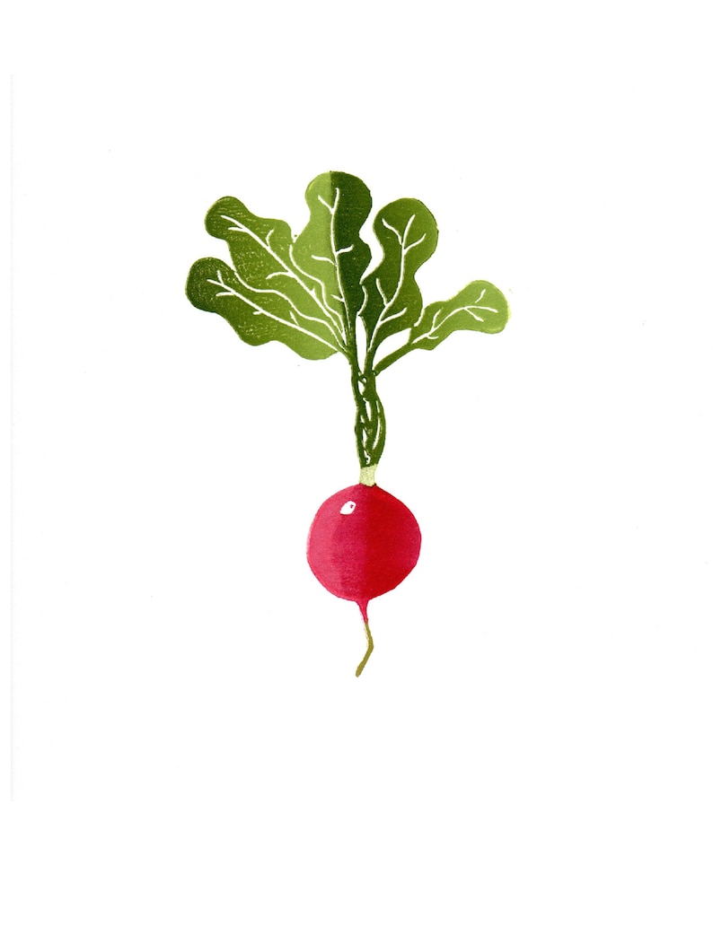 Block Print | Radish | Handmade Original Artwork | Unframed - Etsy