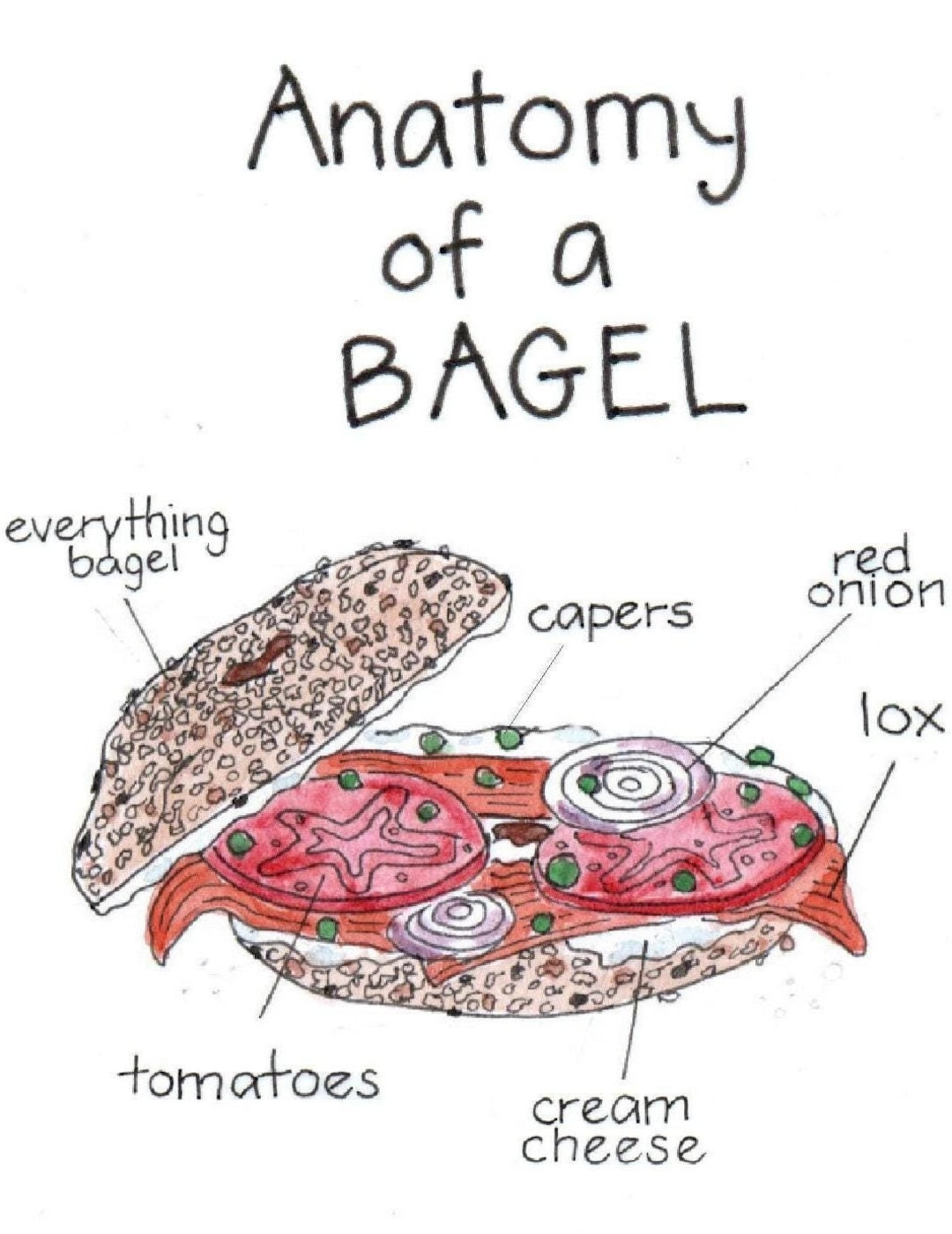 Greeting Card | Anatomy of a Bagel | Original Watercolor Design | Cute ...