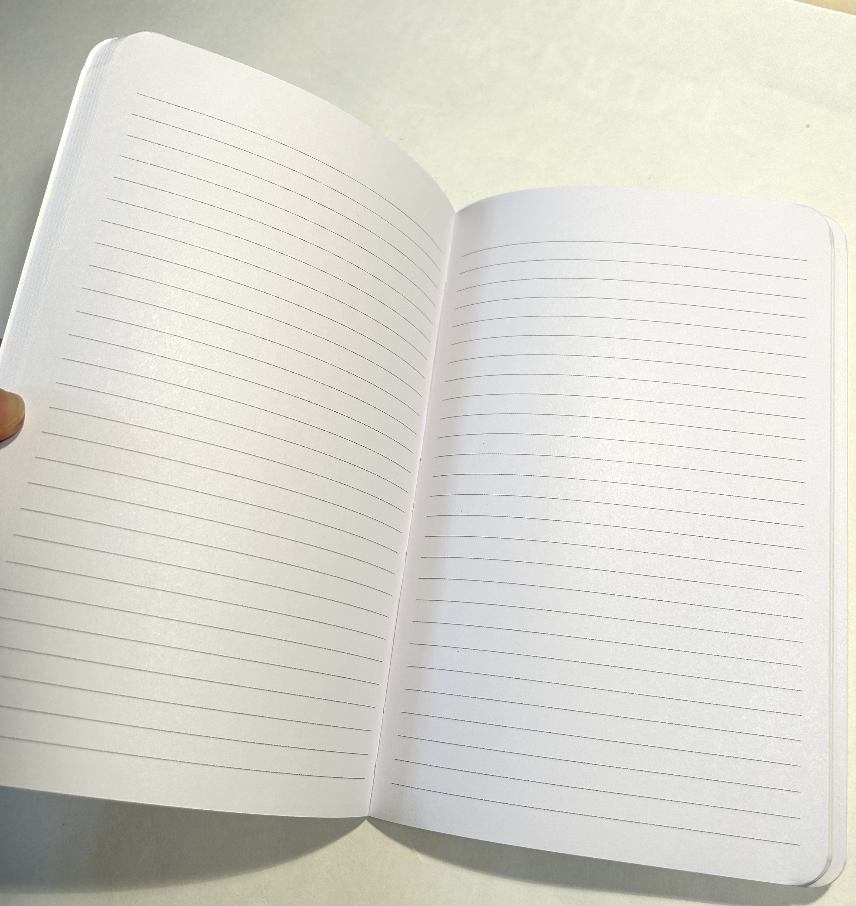 Blank Writing Journal Pinwheels Diary Ruled Journal - Etsy