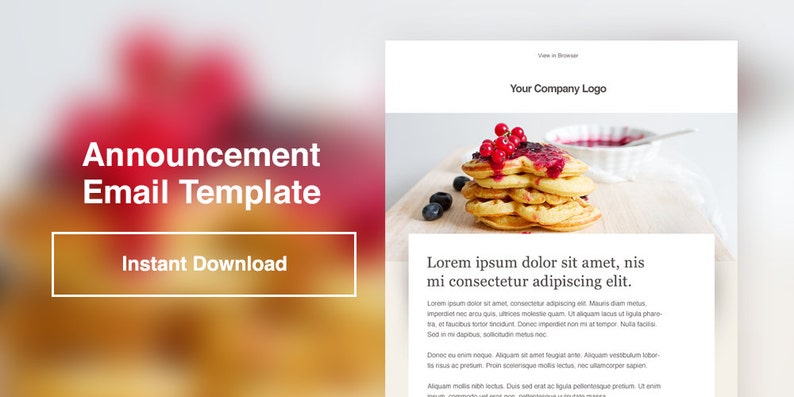 Responsive HTML Blog Email Template - Etsy