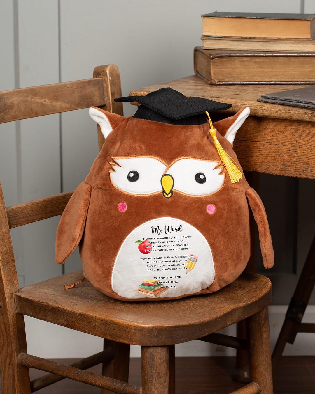 Personalised Teacher Owl Plush, Gift, Toy, Stuffie, Teddy.teacher ...