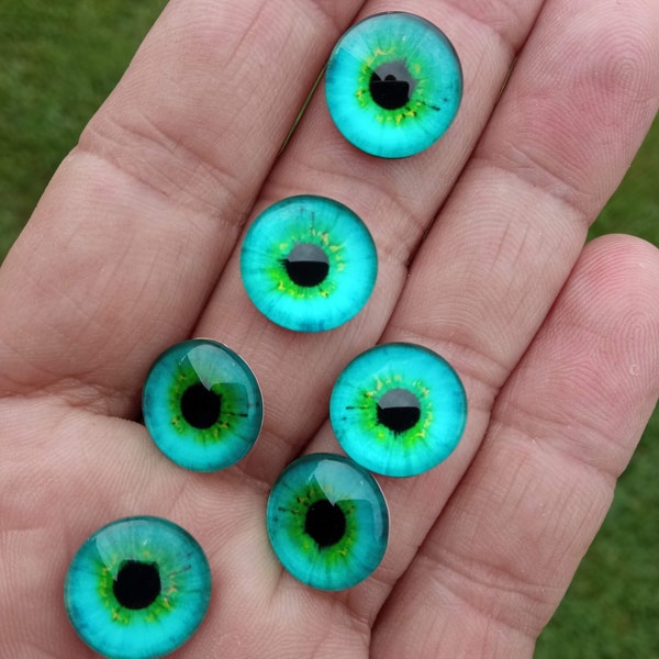 Taxidermy Eyes - Etsy